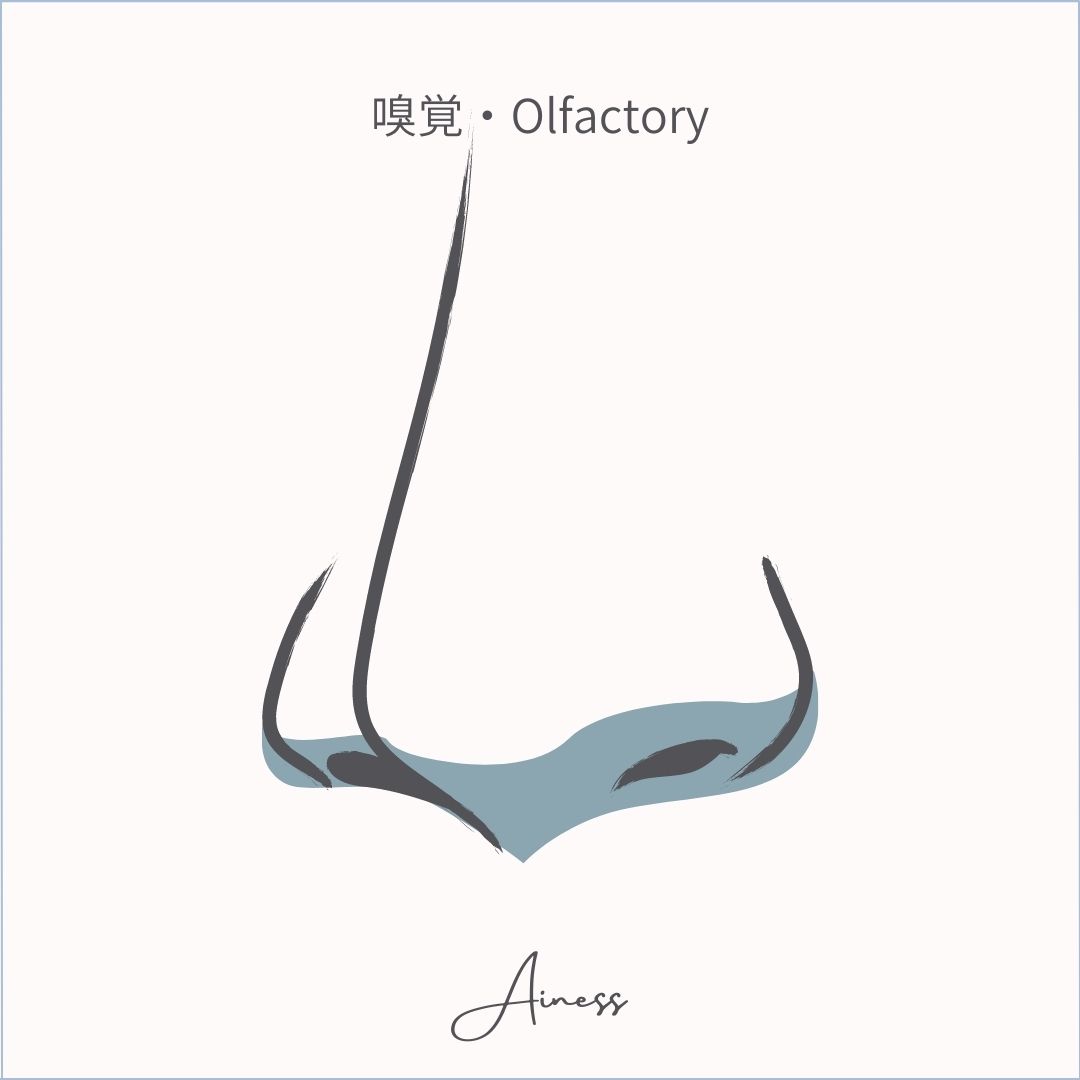 〈考える〉ときに使う五感 | 優位感覚 - Ainess Library｜自己理解と人生設計のためのライフコーチング情報サイト