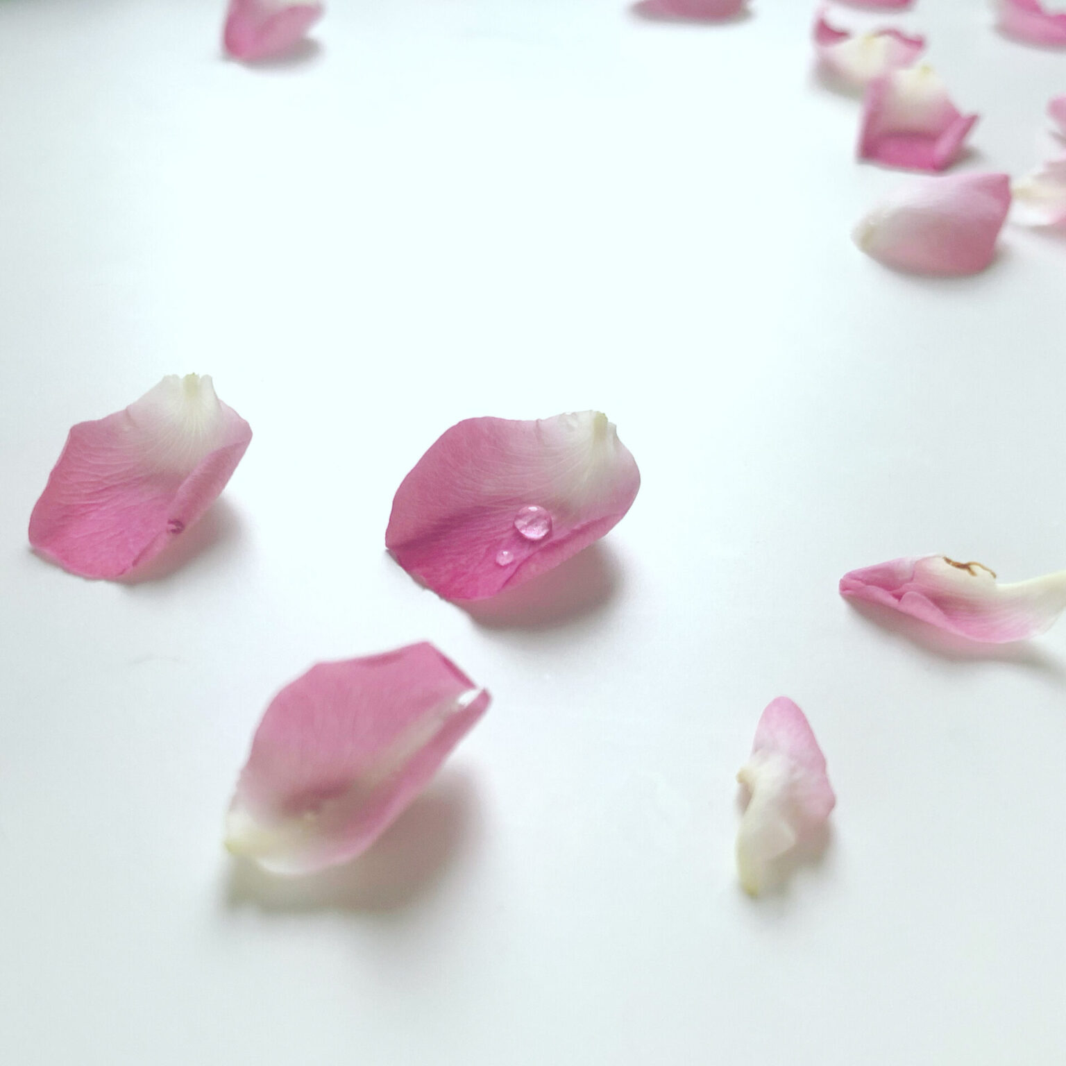 PROFILE ｜Ainess Library｜自己理解と人生設計のためのライフコーチング情報サイト