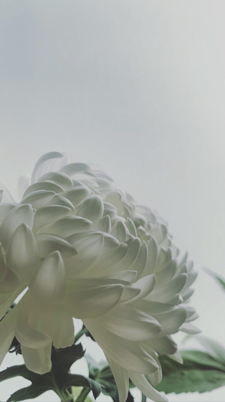 PROFILE ｜Ainess Library｜自己理解と人生設計のためのライフコーチング情報サイト