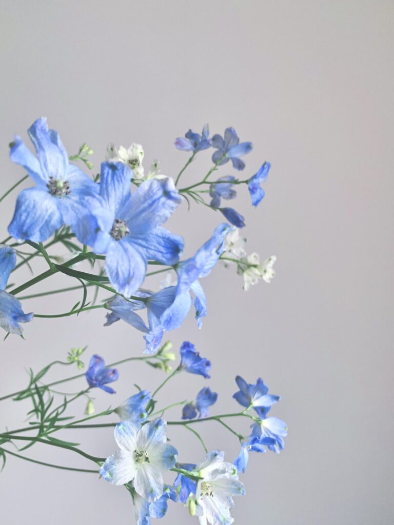 PROFILE ｜Ainess Library｜自己理解と人生設計のためのライフコーチング情報サイト